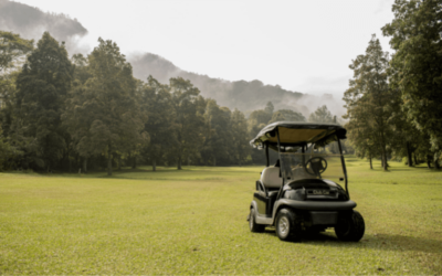 8 Best Electric Golf Carts in 2024 - Reviews & Buying Guide