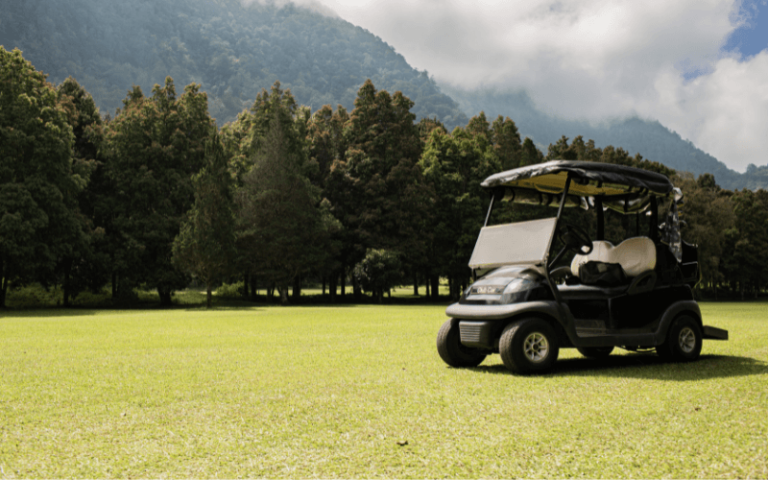 Our Recommendations for the Best Golf Carts of the Year