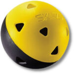 The 10 Best Practice Golf Balls in December 2022